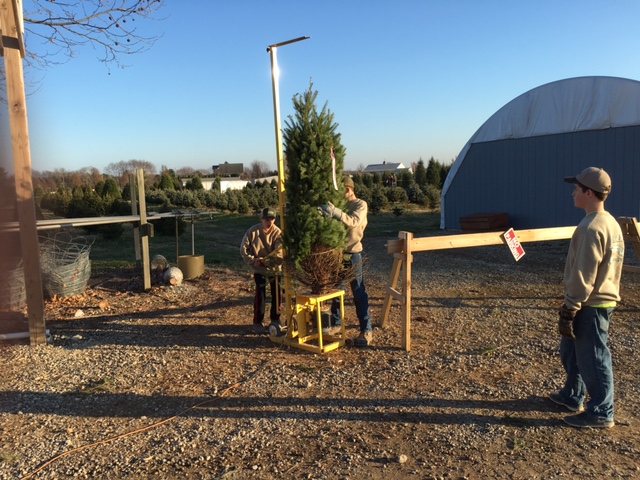 Christmas Tree Farm - Exley's Christmas Tree FarmsExley's Christmas ...